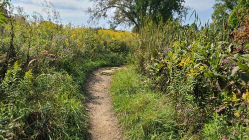 This Awesome, Lesser Known Trail In Indiana Is A Great Adventure