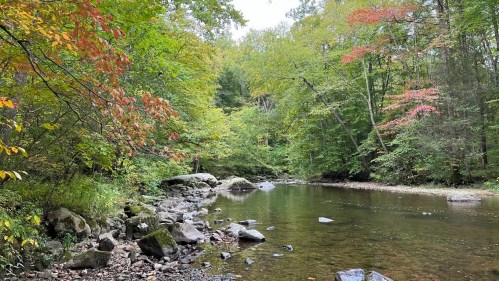 15 Amazing Natural Wonders In New Jersey That Defy Explanation