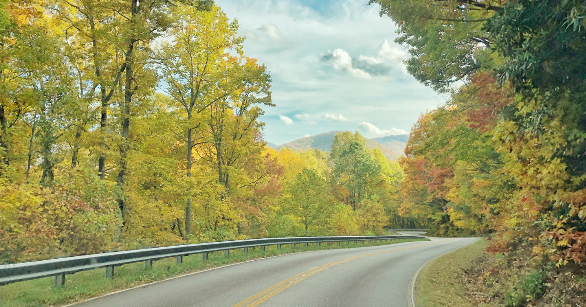 Highway 19 North: Scenic Drive In Georgia