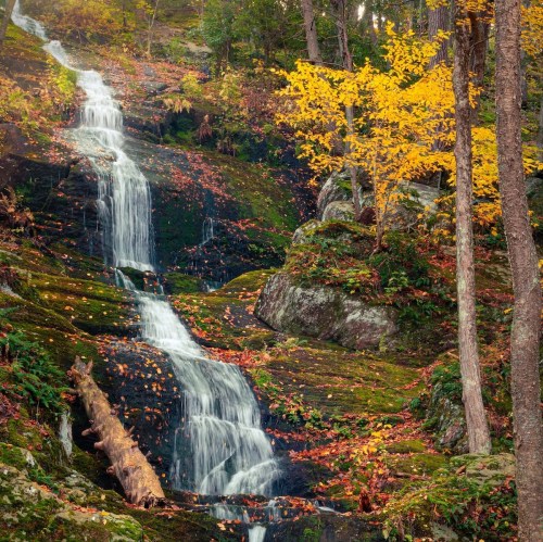 15 Amazing Natural Wonders In New Jersey That Defy Explanation