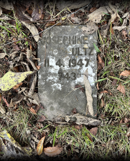 Hike Past An Abandoned Cemetery On This Eerie Hike In Ohio