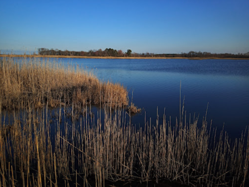15 Natural Wonders in Delaware That Defy Explanation