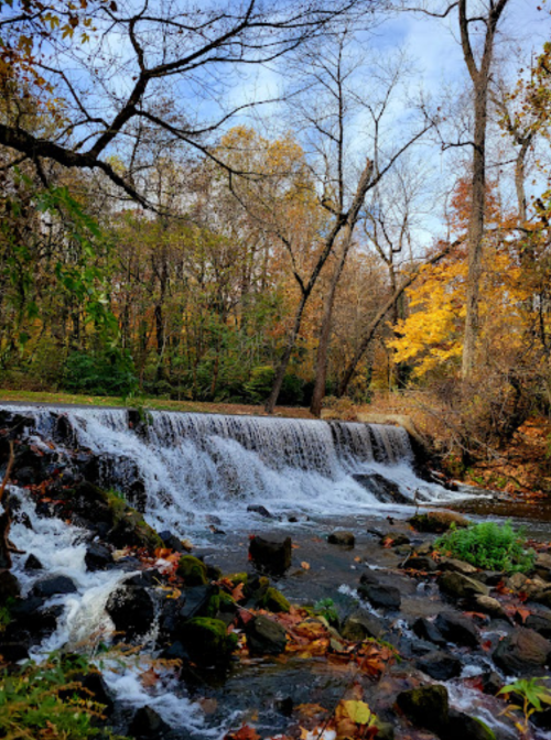 15 Natural Wonders in Delaware That Defy Explanation