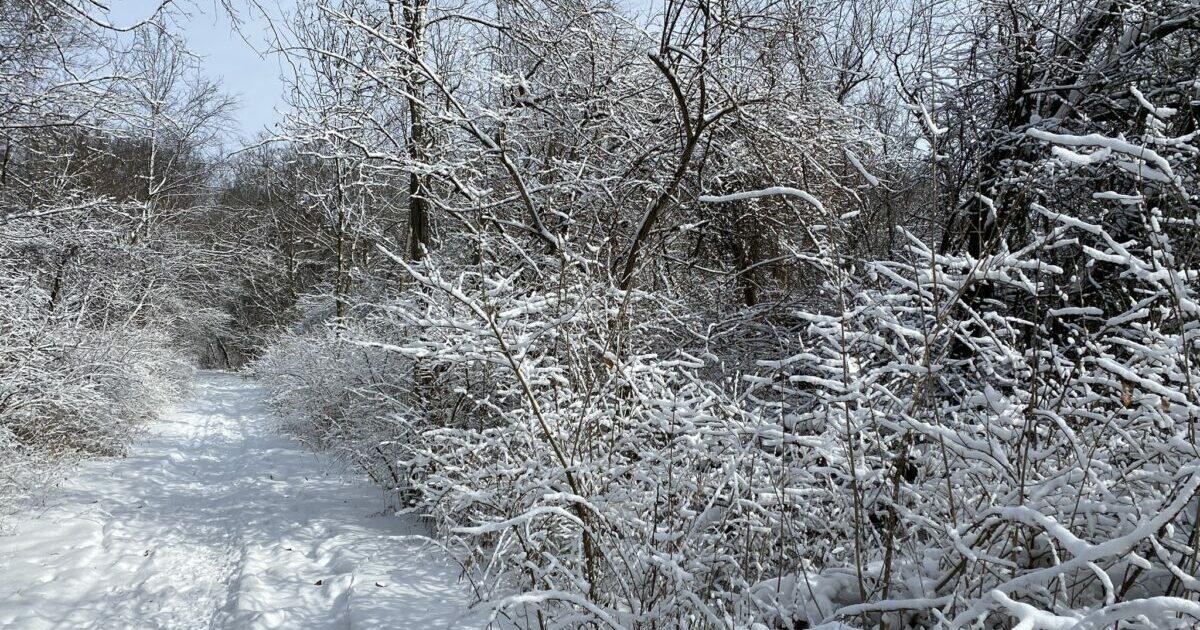Beverly Lake: Best Cross-Country Skiing in Barrington, Illinois