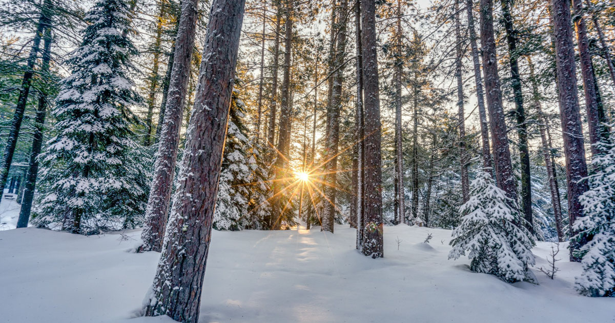 Grab Your Coat And Boots And Head To “Wisconsin’s Winter Capital” This ...