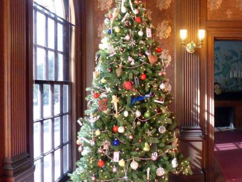 Plum Orchard Christmas Tour: December 2, 2023