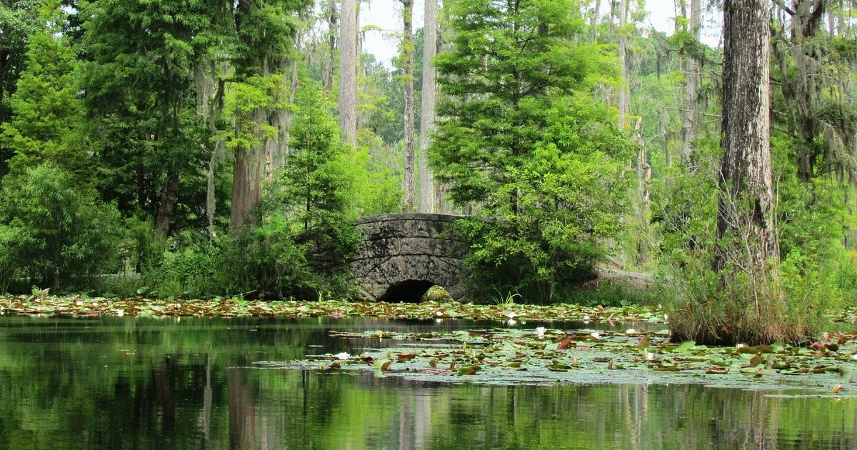 The Stunning Landscape In South Carolina That Appears As Though It Was ...