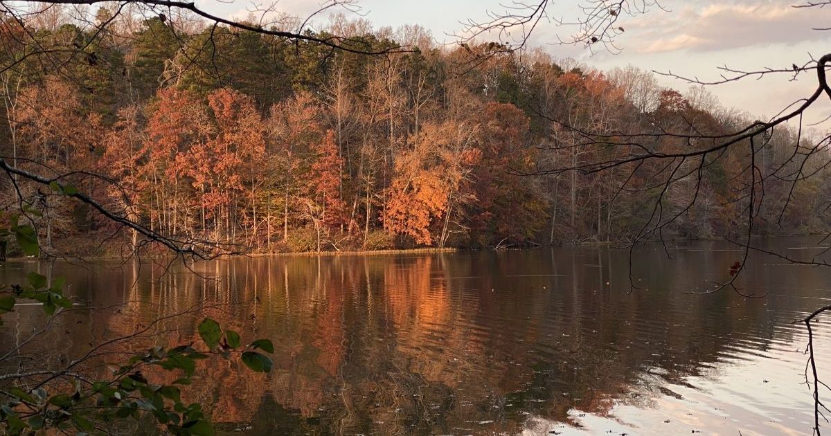 Salem Lake Trail Is A Little-Known Path In North Carolina