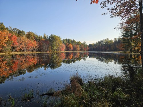 Great New Hampshire Nature Walks: Fosters Pond In Windham