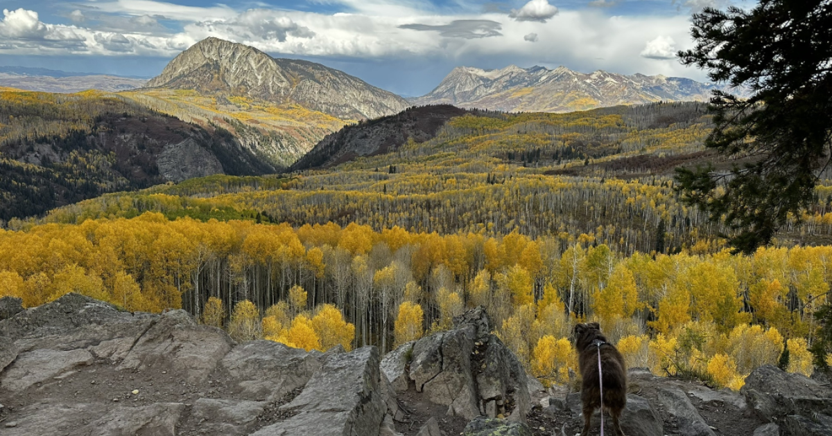 Dark Canyon, Irwin, And Dyke Trail Loop: Hikes In Colorado