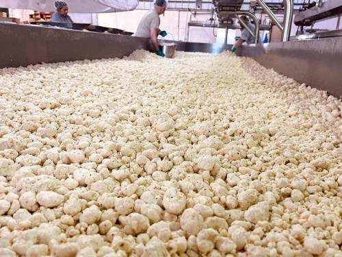 Eat, Tour, And Shop At Sweetwater Valley Farm In Philadelphia TN