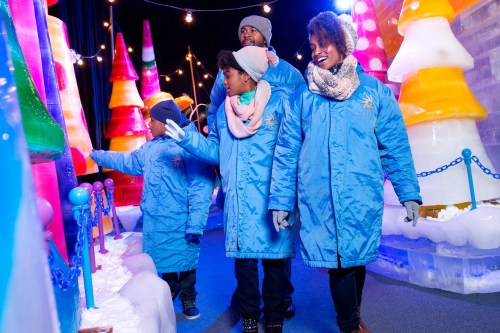 Even The Grinch Would Marvel At The Incredible ICE! Experience At ...