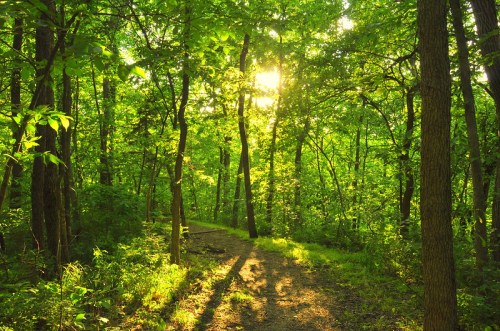 10 Unique Facts About Kansas You May Have Never Heard
