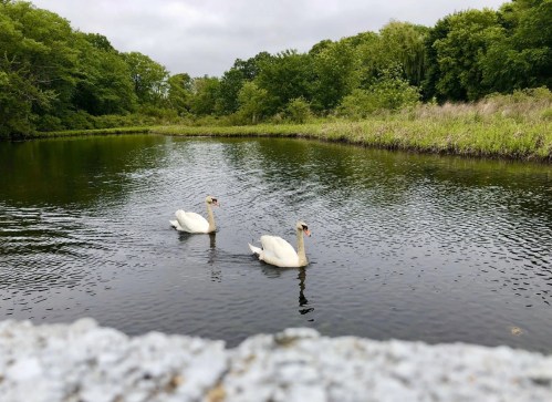 Exploring This Local Park In Rhode Island Is The Definition Of An ...