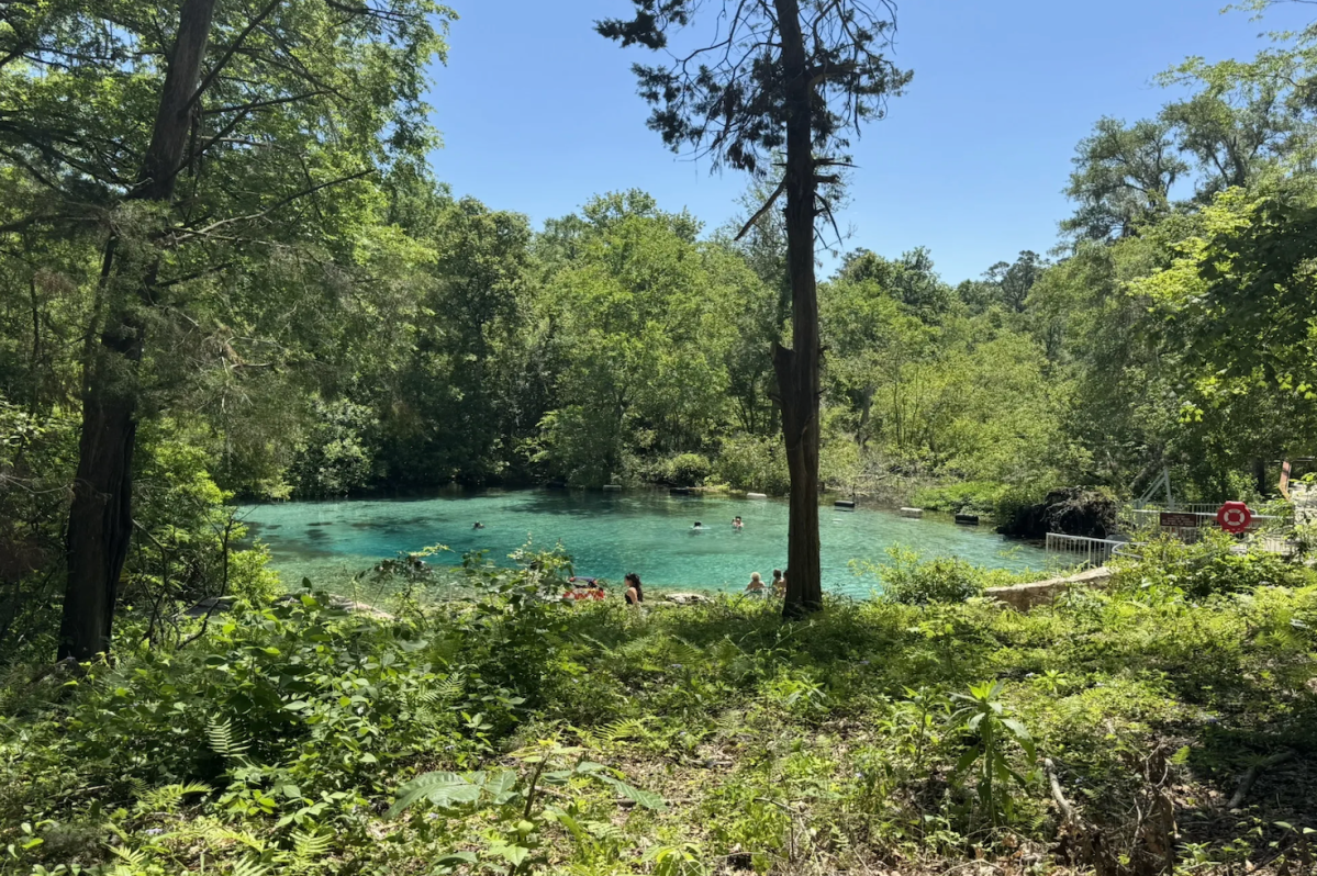 Ichetucknee Springs in Florida Is the Best State Park to Visit