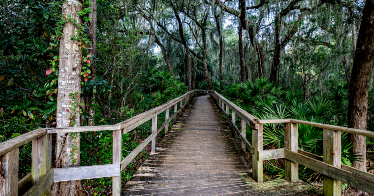 This Little-Known Trail Is Possibly The Best Walking Path In Florida