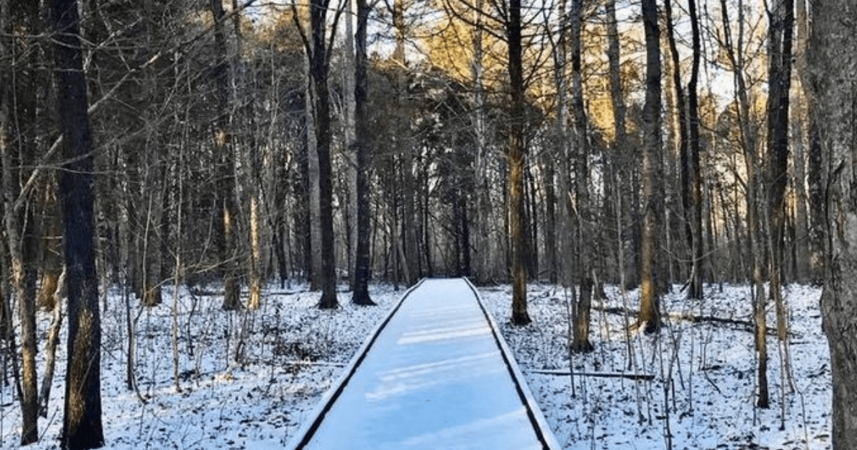 9 Picture-Perfect Ideas For Spending Winter In Kentucky's Beautiful ...