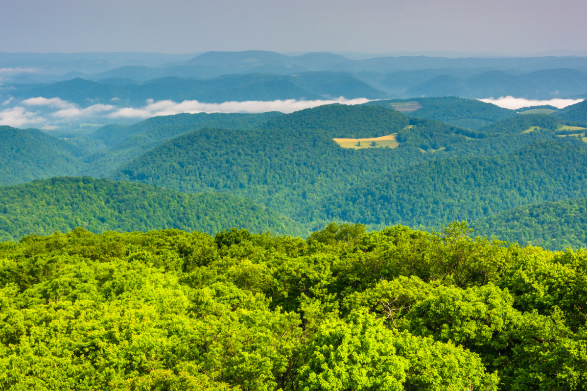 Bucket List Worthy Lookout Towers You Can Climb In West Virginia