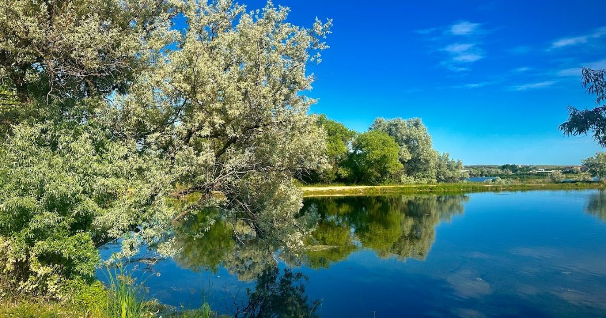 This Little-Known Lake Is Perfect For Easy Fishing, Swimming And ...