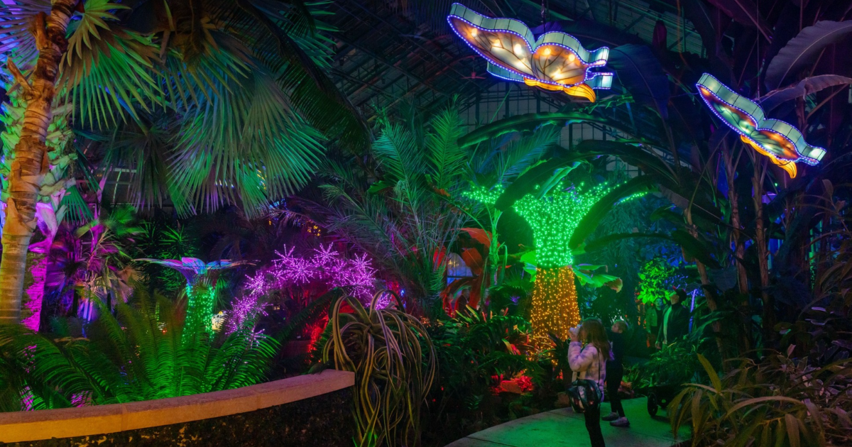 Best Christmas Lights In Nebraska: 7 Magical Holiday Displays