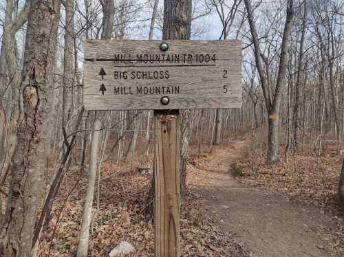 Big Schloss Or Tibbet Knob? Everything To Know About Hiking At Wolf Gap ...