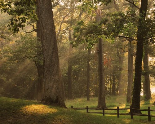 The ADA Accessible State Parks In Indiana Are Beautifully Inclusive