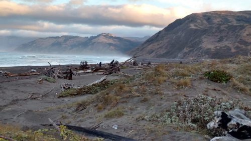 Mattole: Best Secluded Campground Near Ferndale In NorCal
