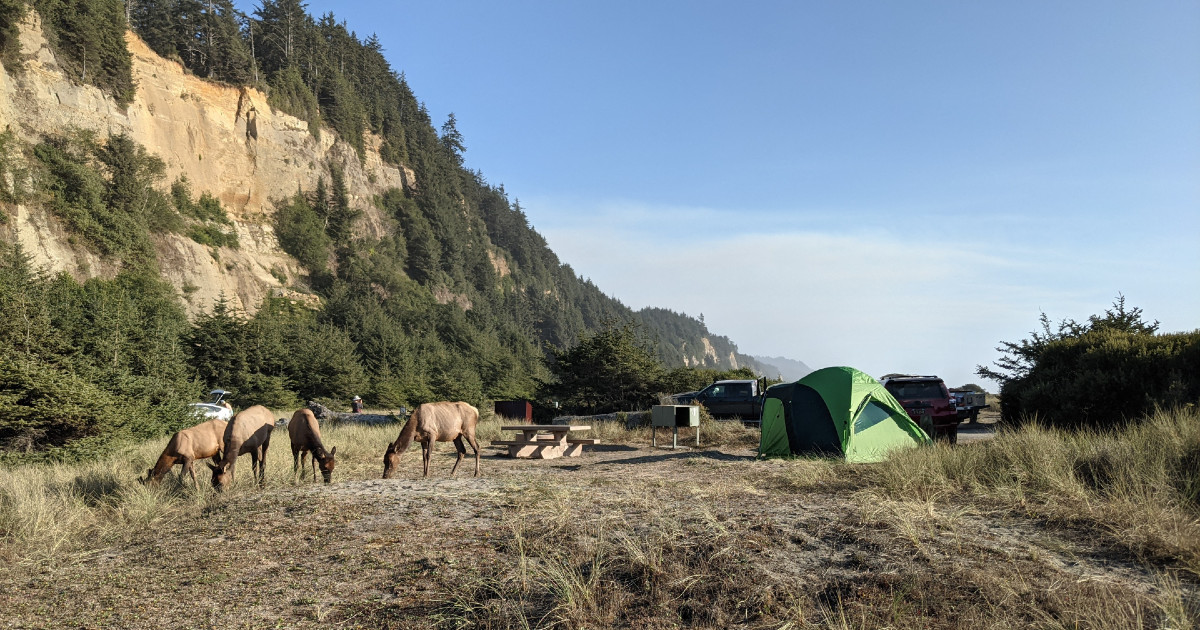 Gold Bluffs Beach: Best Beach Campground Near Orick In NorCal