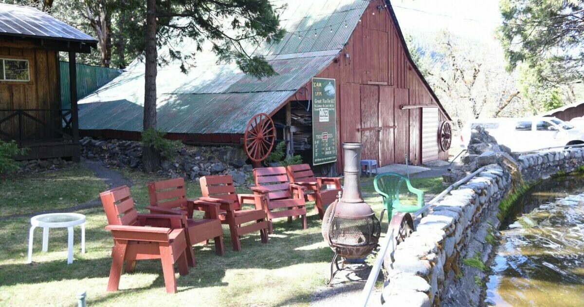 Relax Amongst The Towering Pines At This Incredible Northern California ...