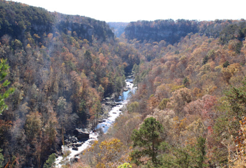 15 Natural Wonders in Alabama That Defy Explanation