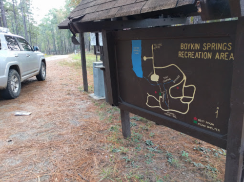 Best Campgrounds in Angelina National Forest, Texas