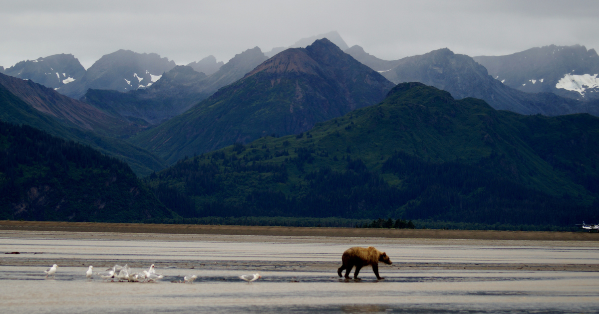 The 10 Best Hidden Gems In Alaska