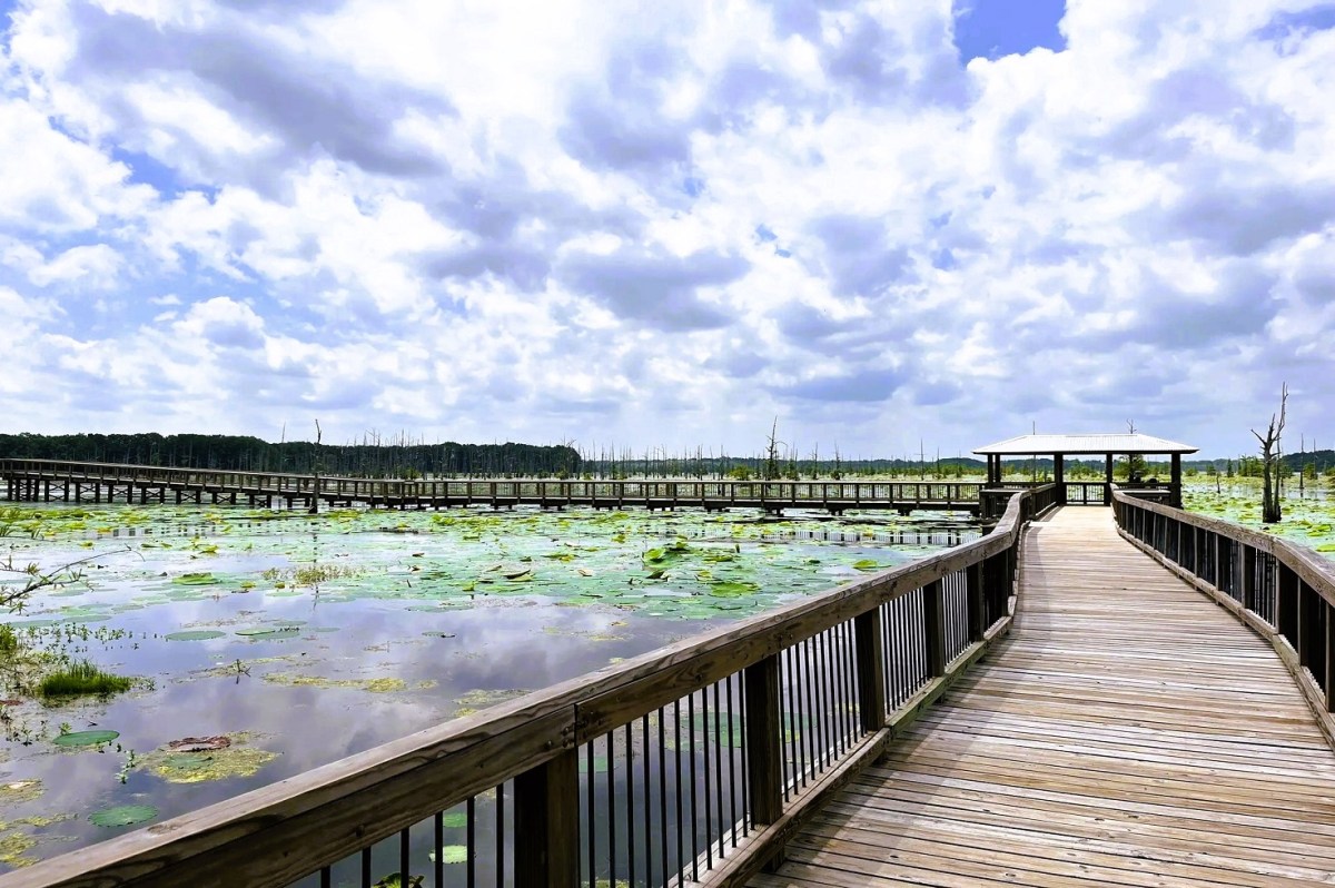 12 Incredible Hidden Gems in Louisiana, One for Each Month of the Year