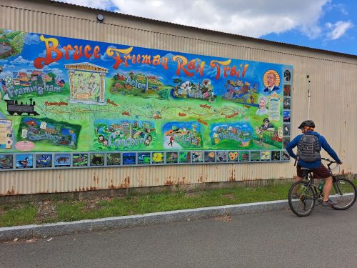 Bruce Freemain Rail Trail: The Best Biking and Walking Path in MA