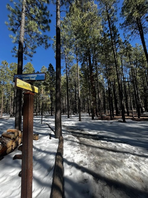 Mars Hill Trail: Winter Scenery In Arizona
