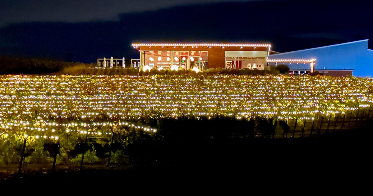 This NorCal Vineyard Is Illuminated By Tons Of Twinkling Lights