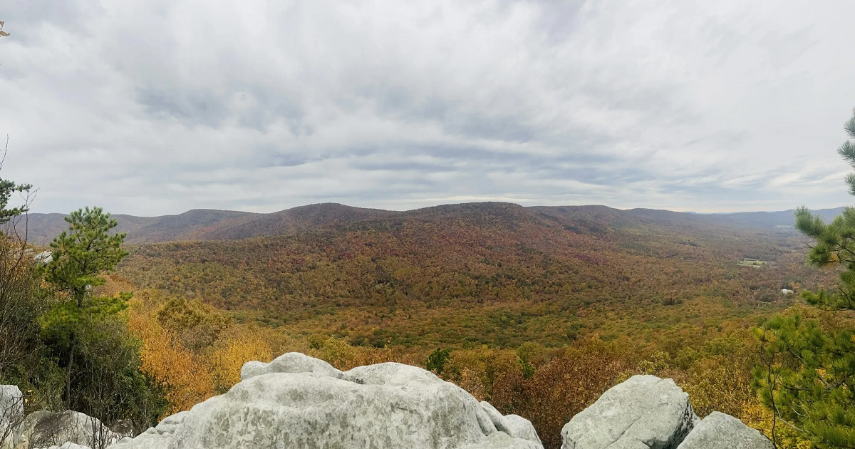 Big Schloss Or Tibbet Knob? Everything To Know About Hiking At Wolf Gap ...