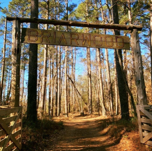 The 10 Best Hidden Gems In Louisiana