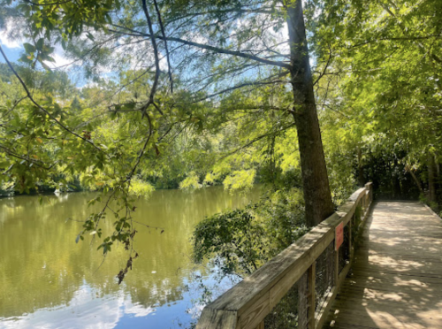 The 18 Best State Parks In Louisiana To Visit ASAP