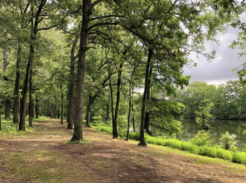 The 18 Best State Parks In Louisiana To Visit ASAP