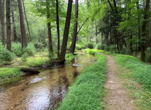 The 15 Best State Parks In Pennsylvania To Visit ASAP