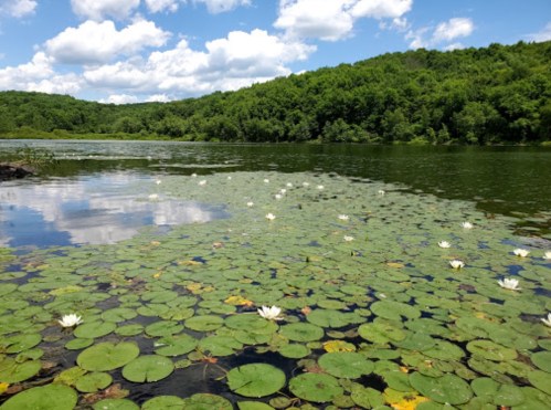 The 15 Best State Parks In Pennsylvania To Visit ASAP
