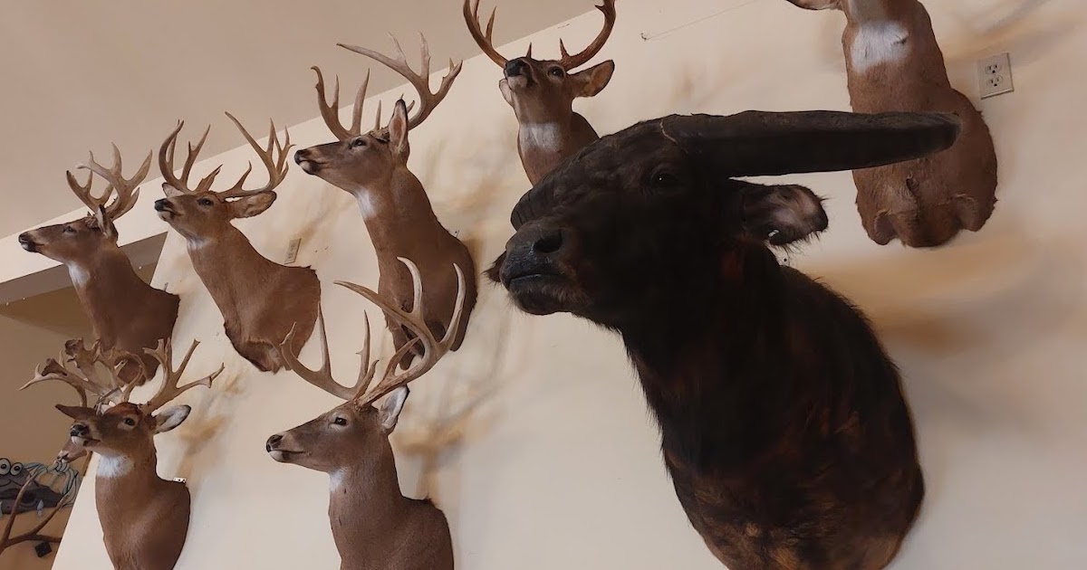 Pub 199: Hunting-Themed Pub In New Jersey