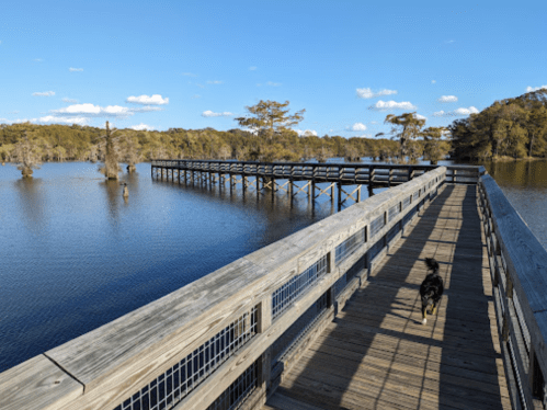 The 18 Best State Parks In Louisiana To Visit ASAP