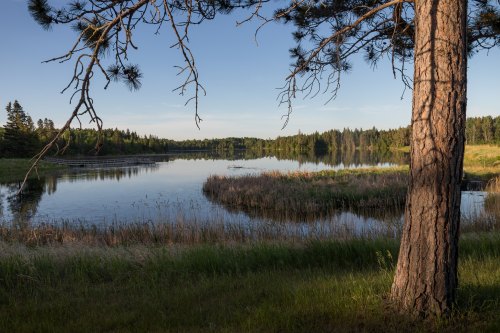 The 17 Best State Parks in Minnesota to Visit ASAP
