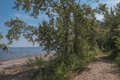 The 17 Best State Parks in Minnesota to Visit ASAP