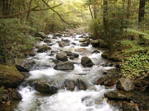 The 15 Best State Parks in South Carolina to Visit ASAP