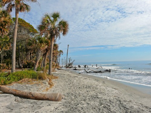 The 15 Best State Parks in South Carolina to Visit ASAP