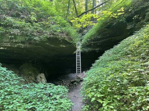 Iconic Hiking Trails In Indiana: The 6 Ravine Challenge