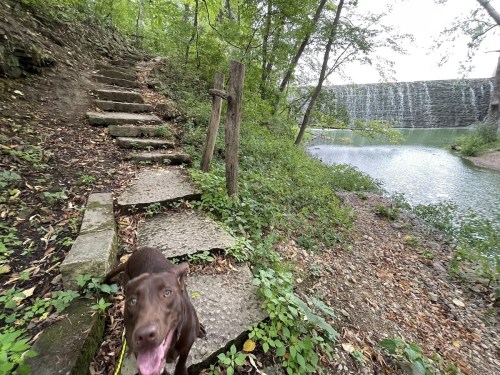 The 18 Best State Parks in Iowa to Visit ASAP